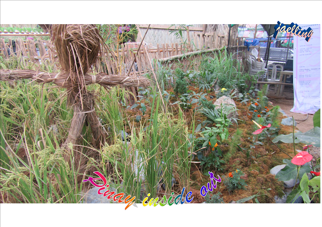 Booth of Kapangan, Benguet - Adivay 2015