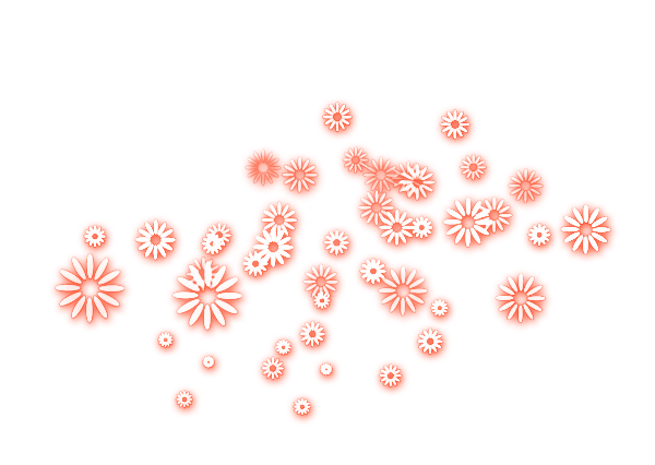 Flower Effects | Master Effects | Free Editing Effects