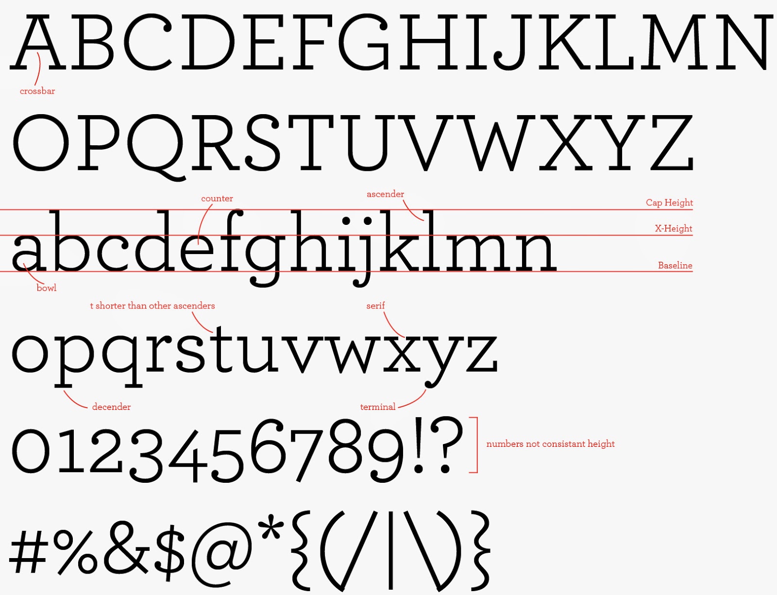 TypographyWinter2014: Brooke Griggs Typeface Analysis