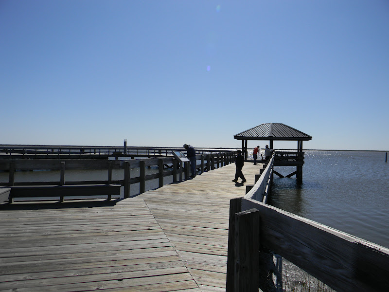 RVFulltimingLove: Davis Bayou Area of the Gulf Islands National Seashore.