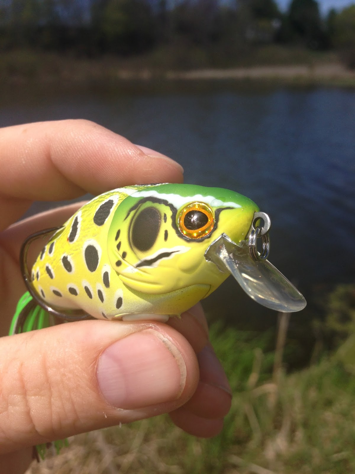 Bass Junkies Frog Pond: Molix Supernato Frog Review