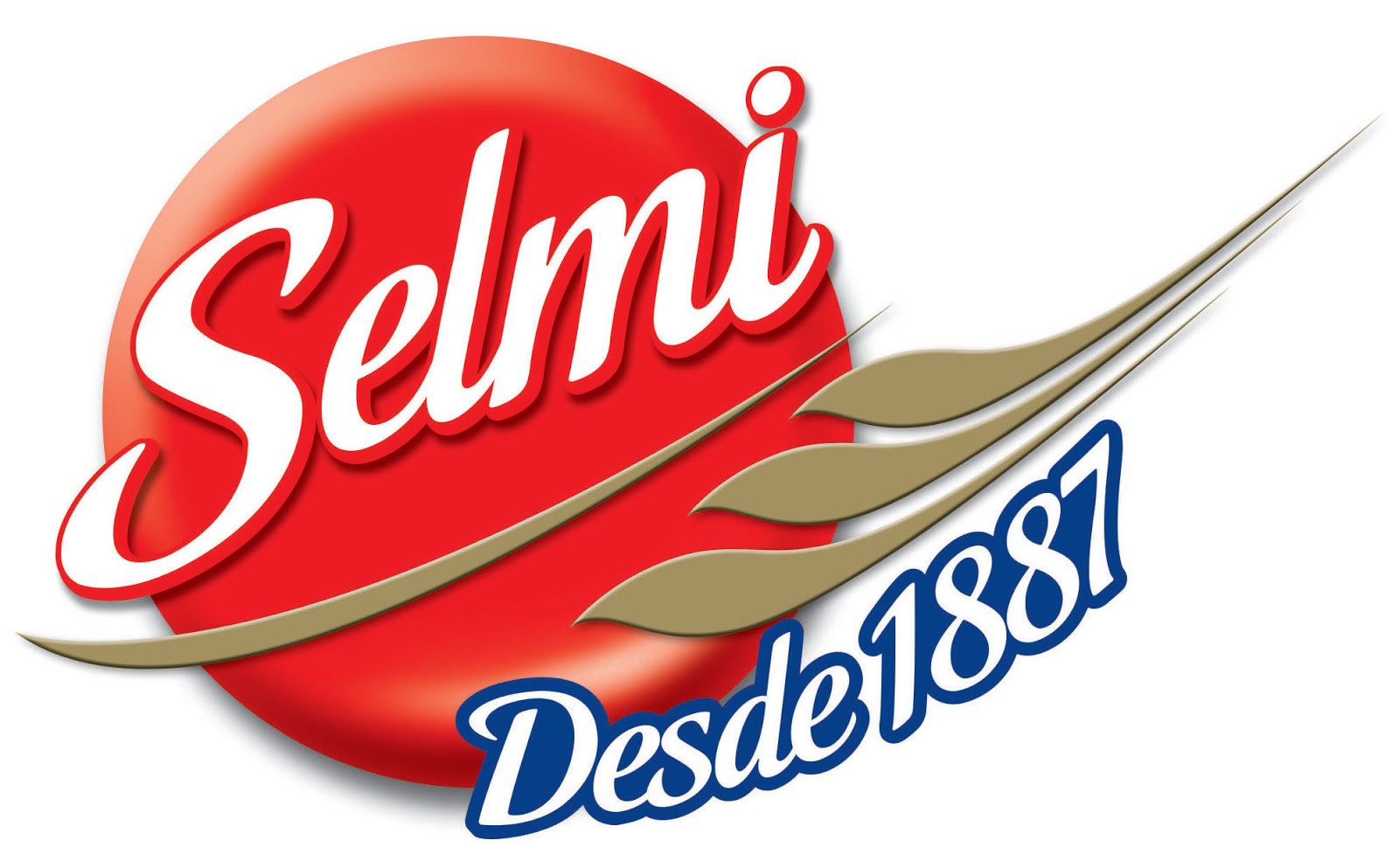 Selmi anuncia nova Gestora de Marketing