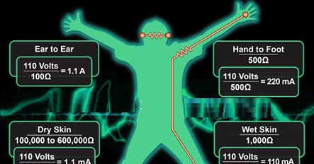 Electrical and Electronics Engineering: Typical Body Resistance ...