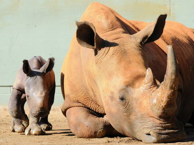 GOLDEN CHOICE by Lux Creative International: Lux Experience - VIP Tour