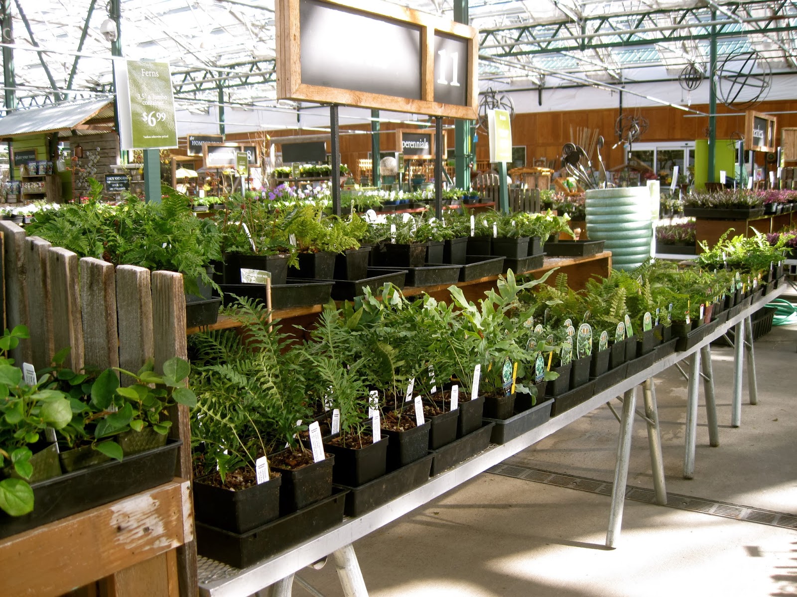 Bonney Lassie: Annual Pilgrimage to Sky Nursery