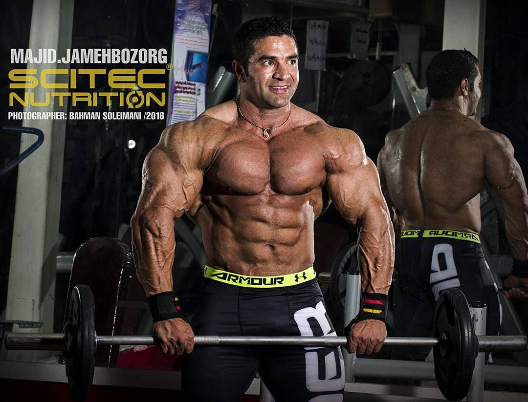 Muscle Lover: Iranian bodybuilder Majid Jameh Bozorg