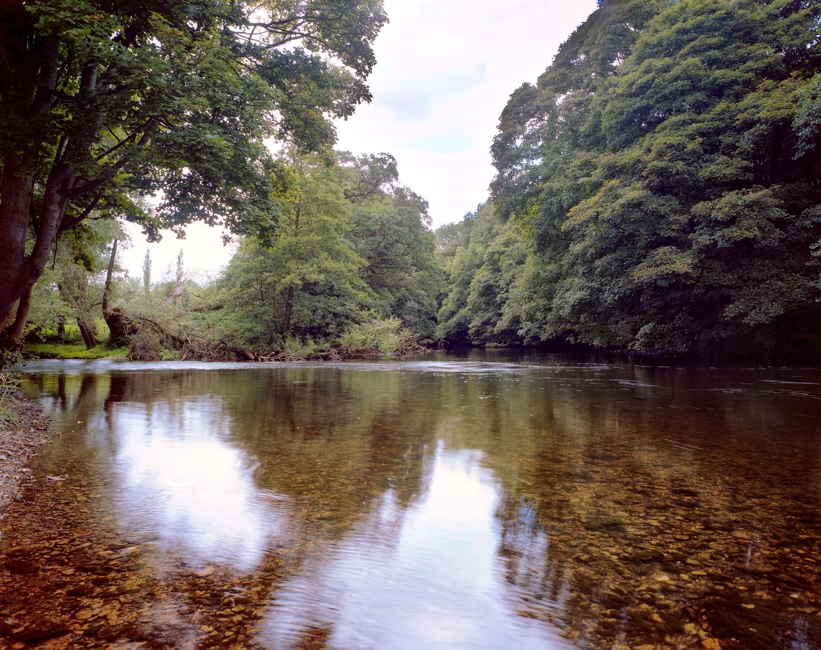 Dry Fly 'Expert': Amazing New World Order!