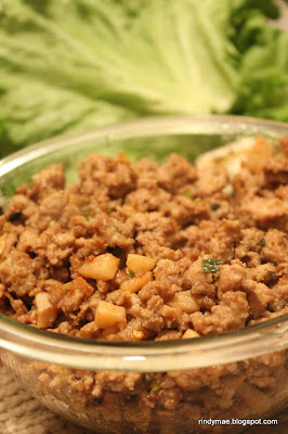 Rindy Mae: Pot-Sticker Lettuce Wraps