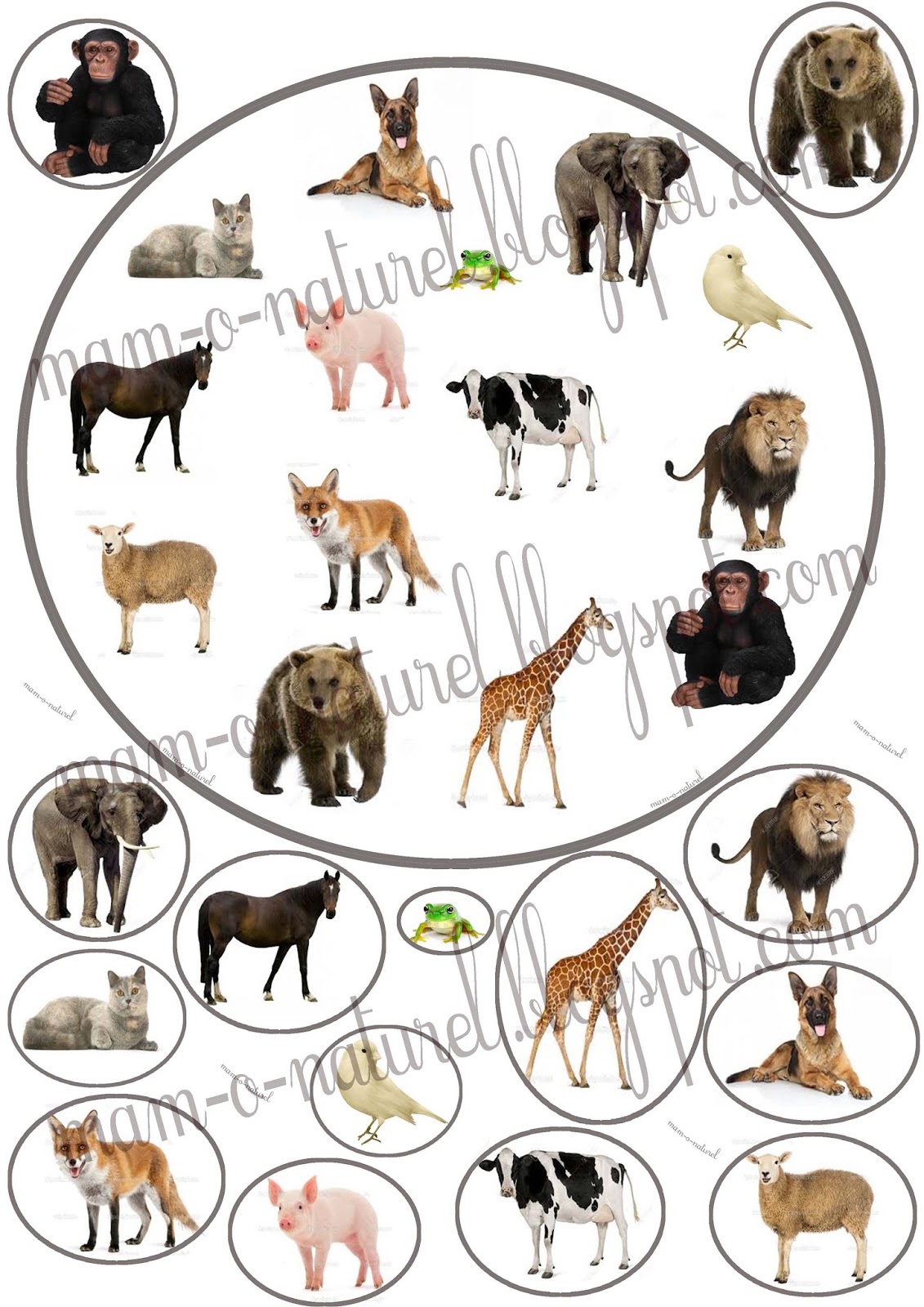 Cherche et trouve des animaux (lynx) | Mam'o naturel