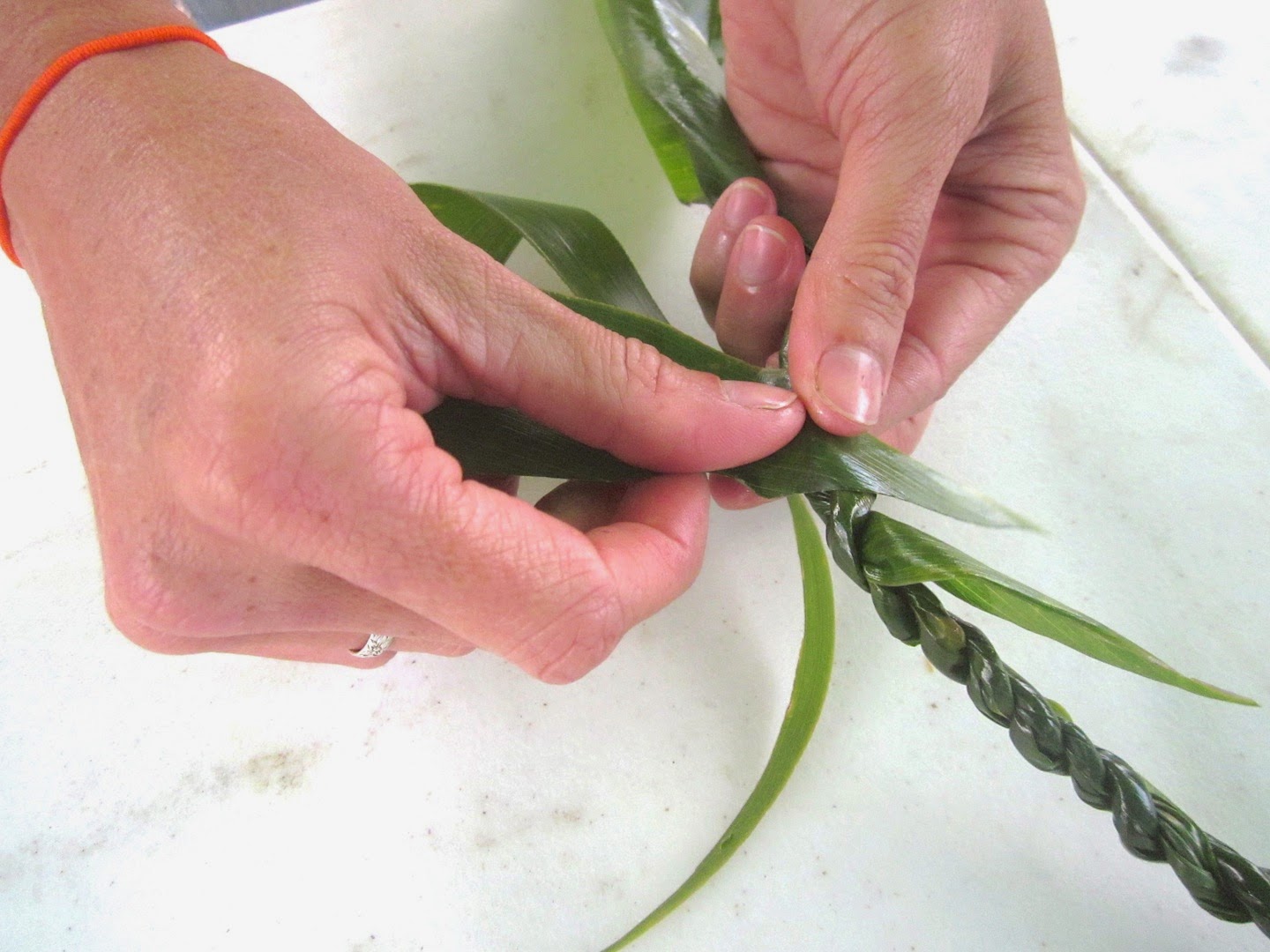 Custard and Clues: Making Leis