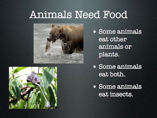 Science World : Animal's needs