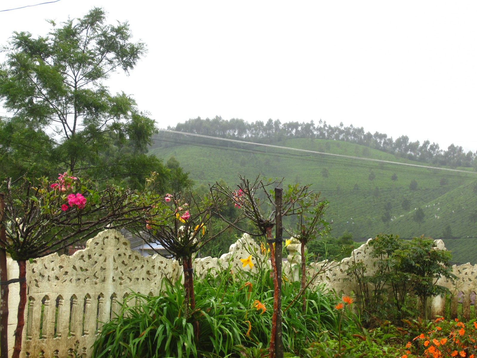 Incredible India: Magical Munnar