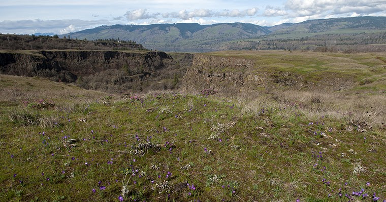 45 journal: Rowena Plateau