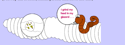 Gallery for Educators: November Story Lab: Diary of a Worm (includes ...