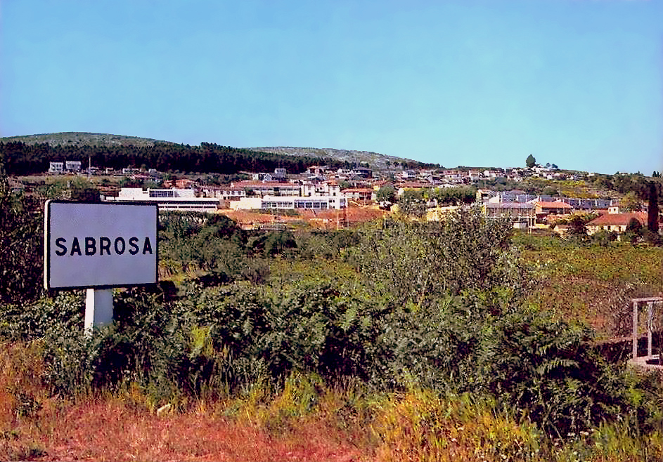 Retratos de Portugal: Sabrosa - Vista Geral