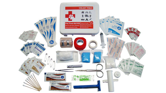 Fire Safety Training in Chennai: First Aid Kit