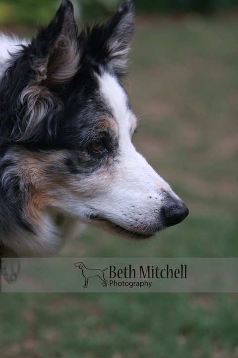 Beth Mitchell Photography
