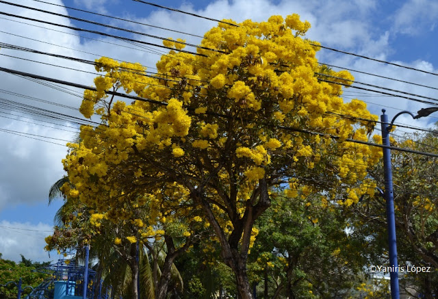 Ningún lugar está lejos... en RD: abril 2019