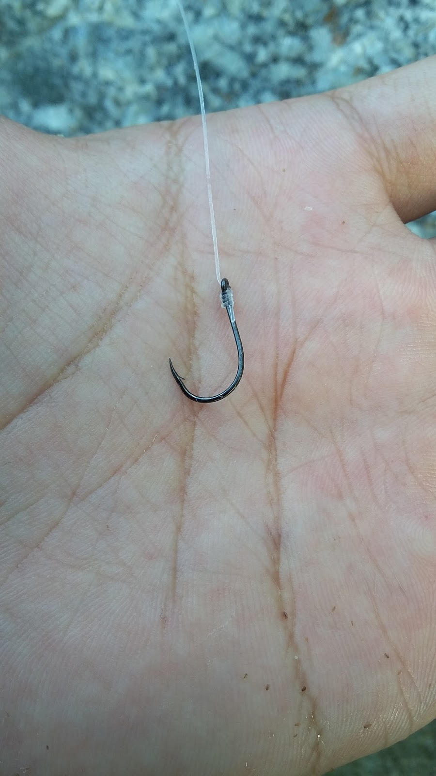 Haruan Sakit: Cara memancing ikan belanak a.k.a loban.