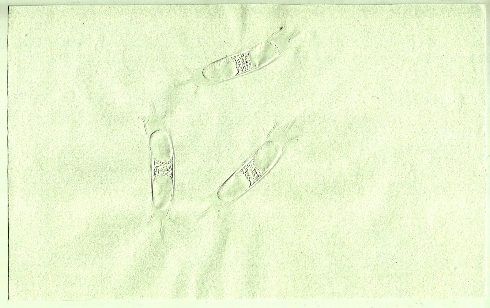 SE POSE COMME UNE FEUILLE accrochée envolée - toujours à tout: Une page ...