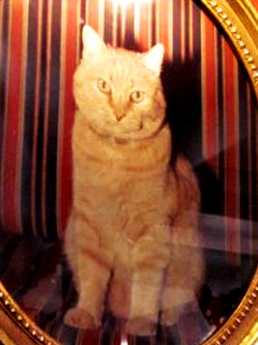 Tie Dye Travels with Kat Robinson - Author, Arkansas Food Historian, TV ...