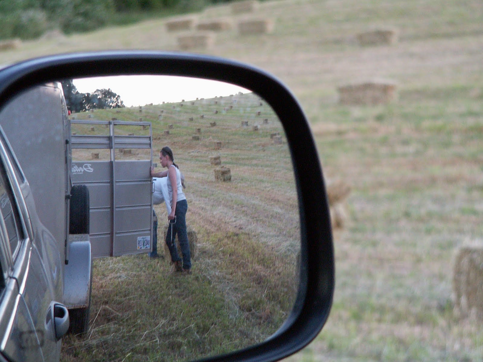 Suburban Cowgirls: Hauling Hay