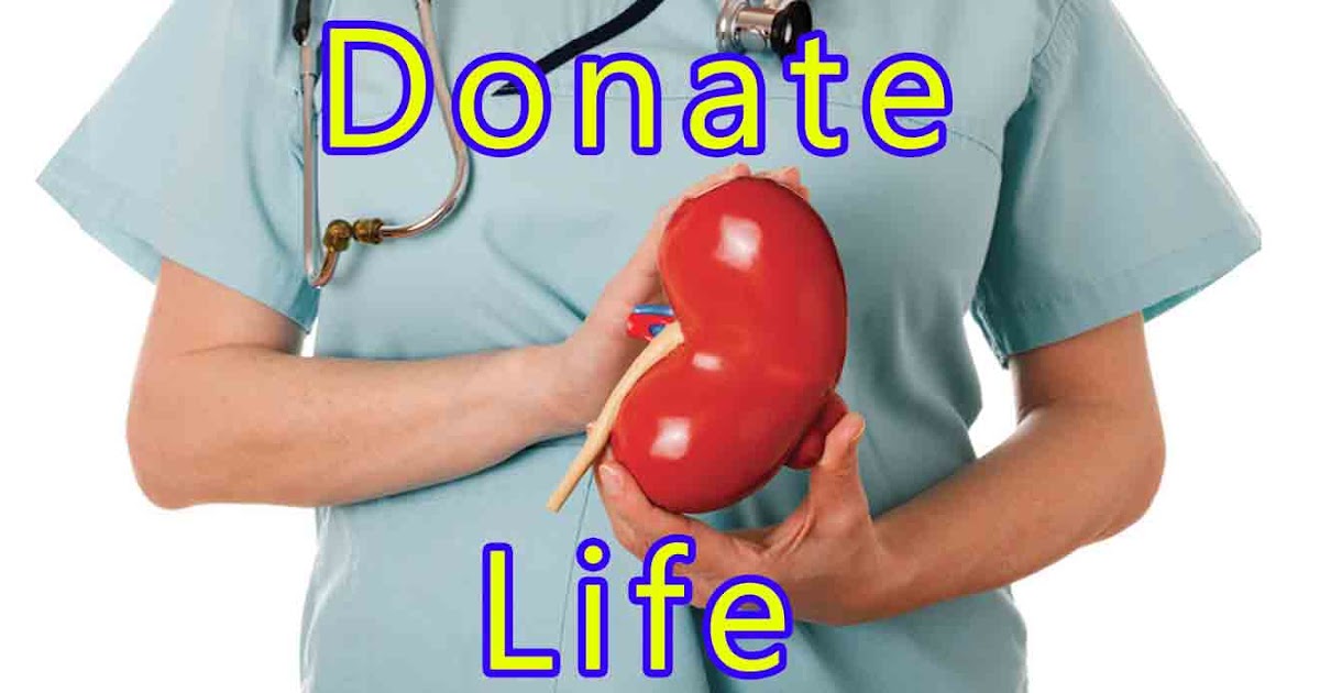 Law Web Whether Mentally Challenged Man Can Donate Kidney To Sibling law-web-whether-mentally-challenged-man-can-donate-kidney-to-sibling