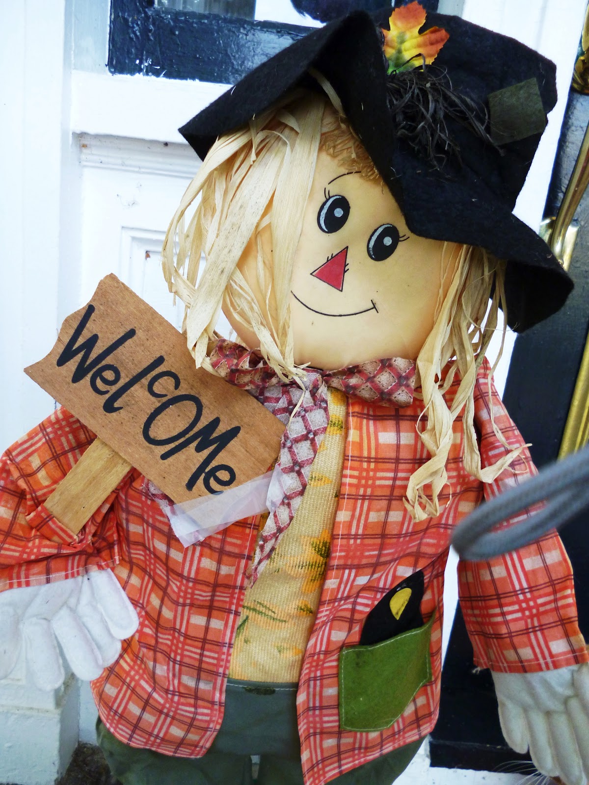 Writing Straight from the Heart: The Scarecrow Kids Are Back