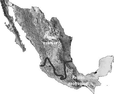 Factores Geográficos, Geológicos y Biogeográficos que afectan la ...