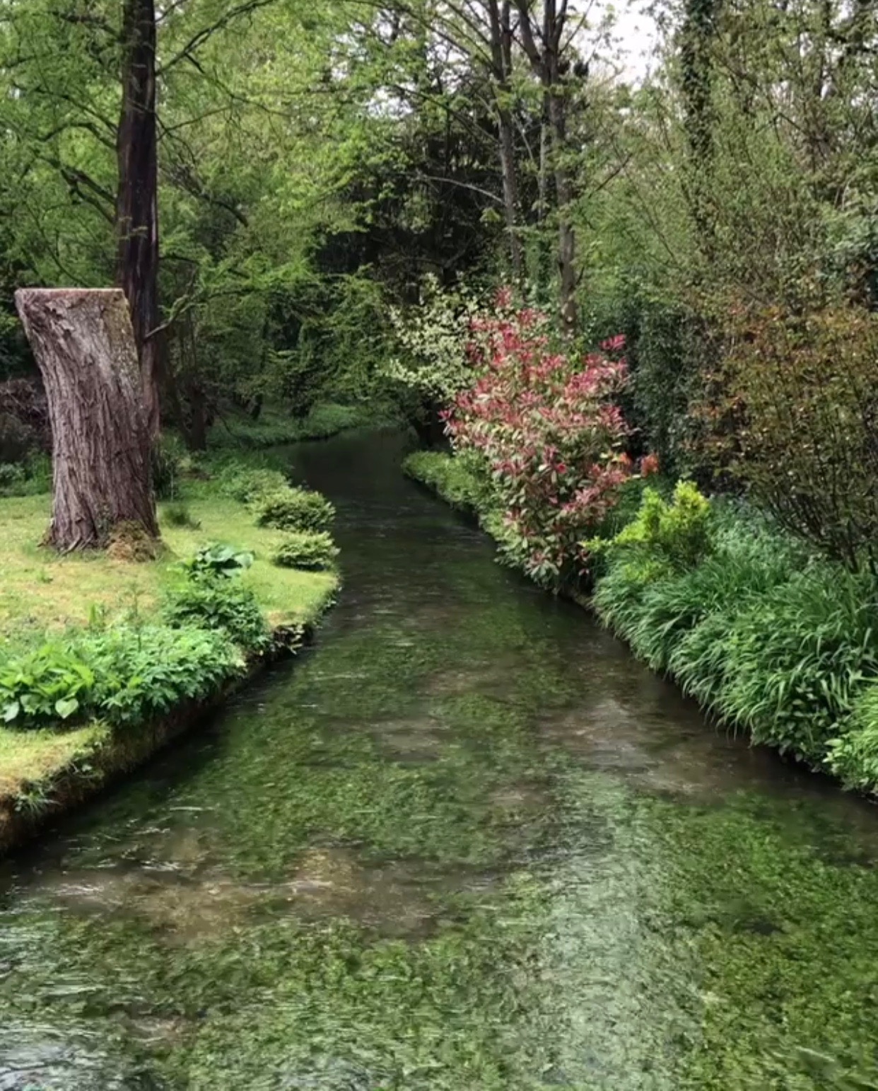 Content in a Cottage: Amazing Chalk Stream in England