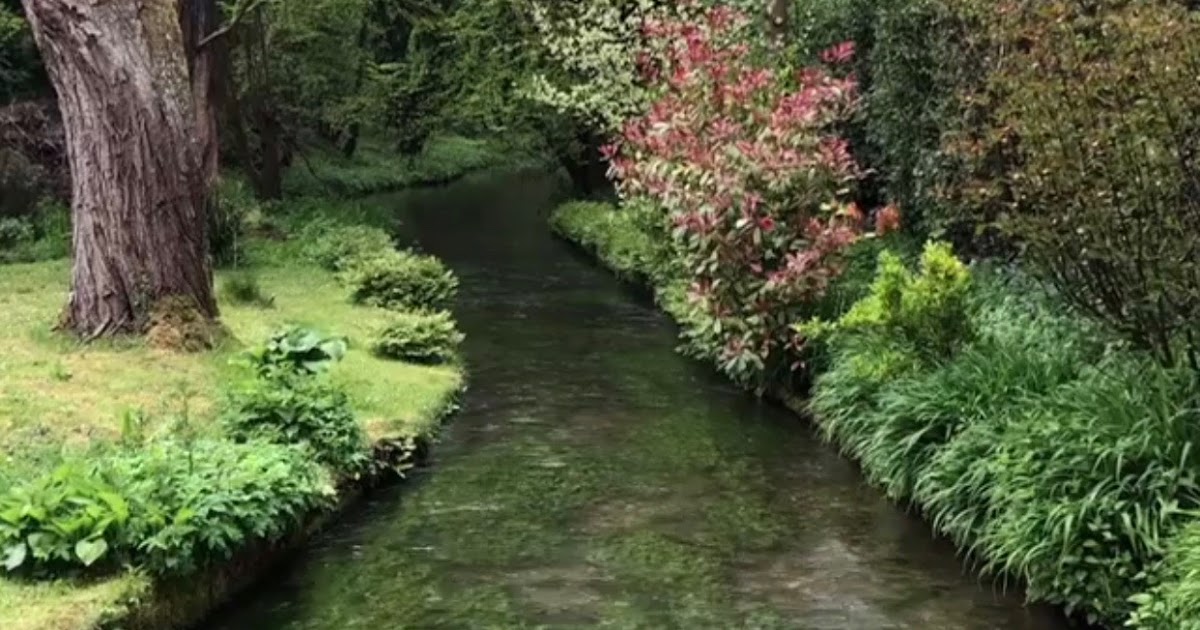 Content in a Cottage: Amazing Chalk Stream in England