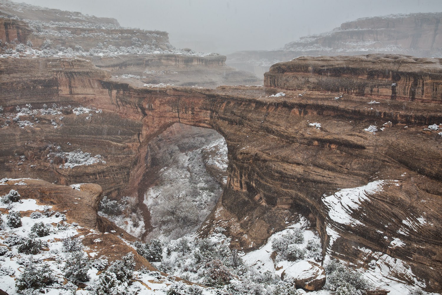 Michael Basista Photography