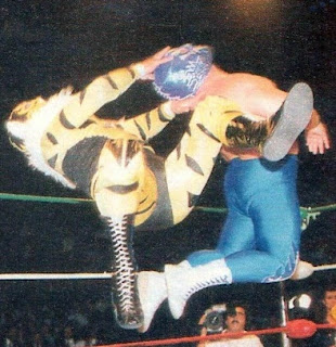 ¿QUIEN ES QUIEN? LUCHA LIBRE: FELINO el gato volador