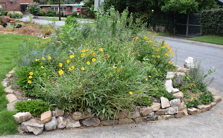 Using Georgia Native Plants: A Native Cottage Garden