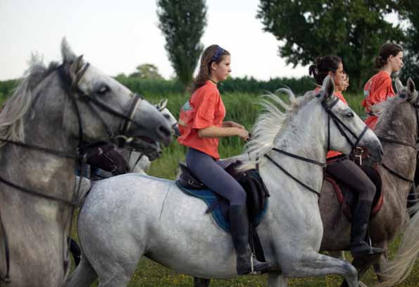 Turismo Serbia: Stari Begej – Carska Bara. Naturaleza Serbia en estado ...