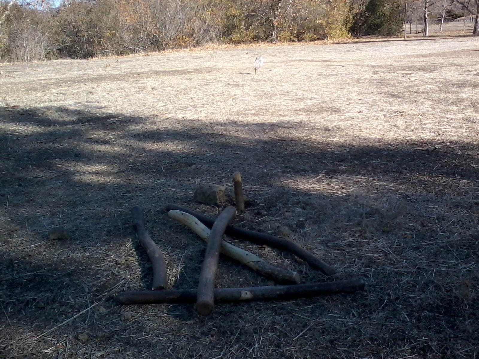 Goblin Ranger: Primitive Hunting: The Throwing Stick