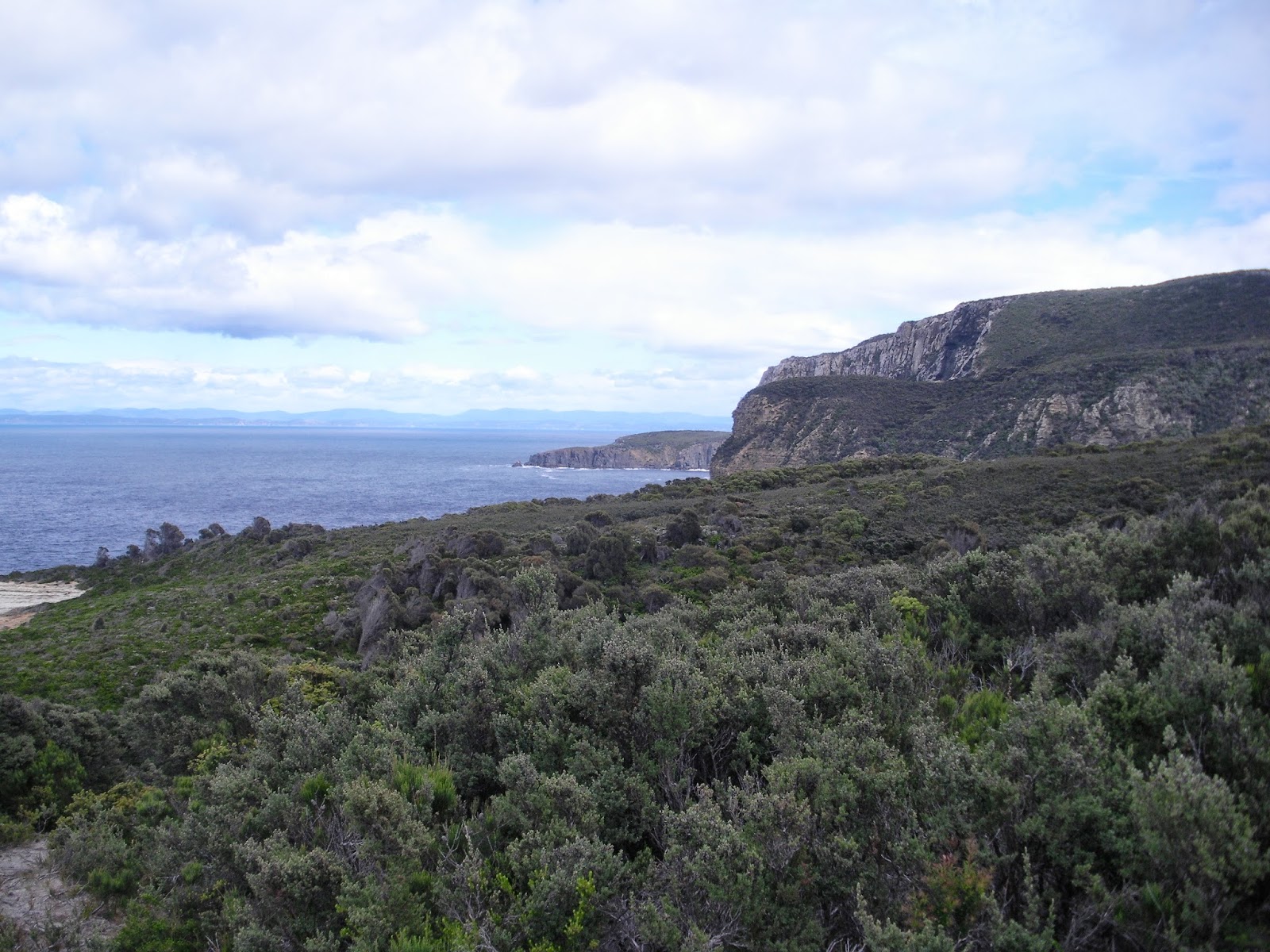 Shipstern Bluff and Tunnel Bay | Hiking South East Tasmania