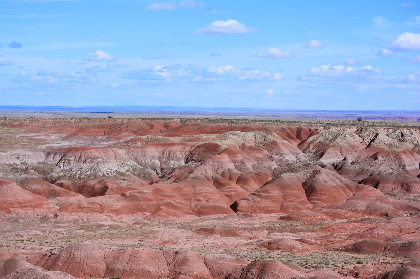 Views from the Presidential Suite: Sedona, The Petrified Forest and the ...