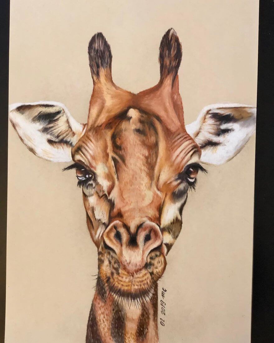 Design Stack: A Blog about Art, Design and Architecture: Colored ...