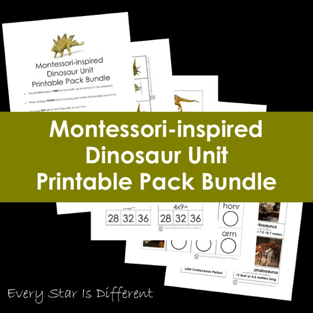 Every Star Is Different: Montessori-inspired Dinosaur Unit Printable ...