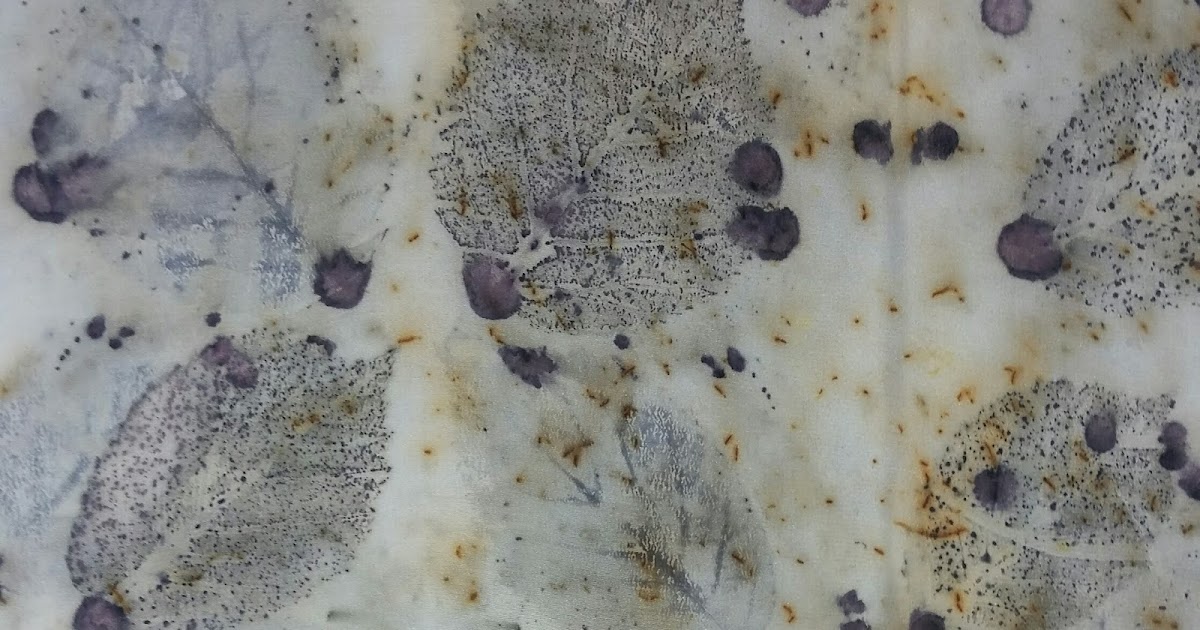 Nan Drye: Alum as an Adjunct