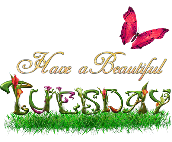 Reflections from Bon Bon Pond: Summer Tiesday Wishes