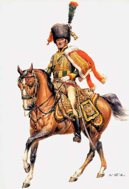 Napoleonic Swords and Sabers Collection: Officer Horse Chasseur's Sword ...