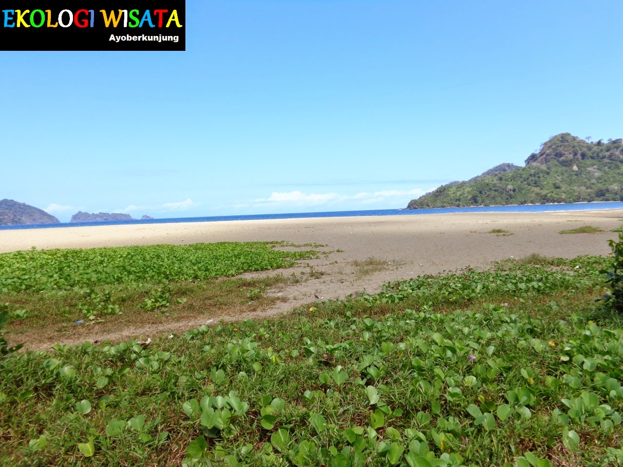 EKOLOGI WISATA: PANTAI BANDEALIT