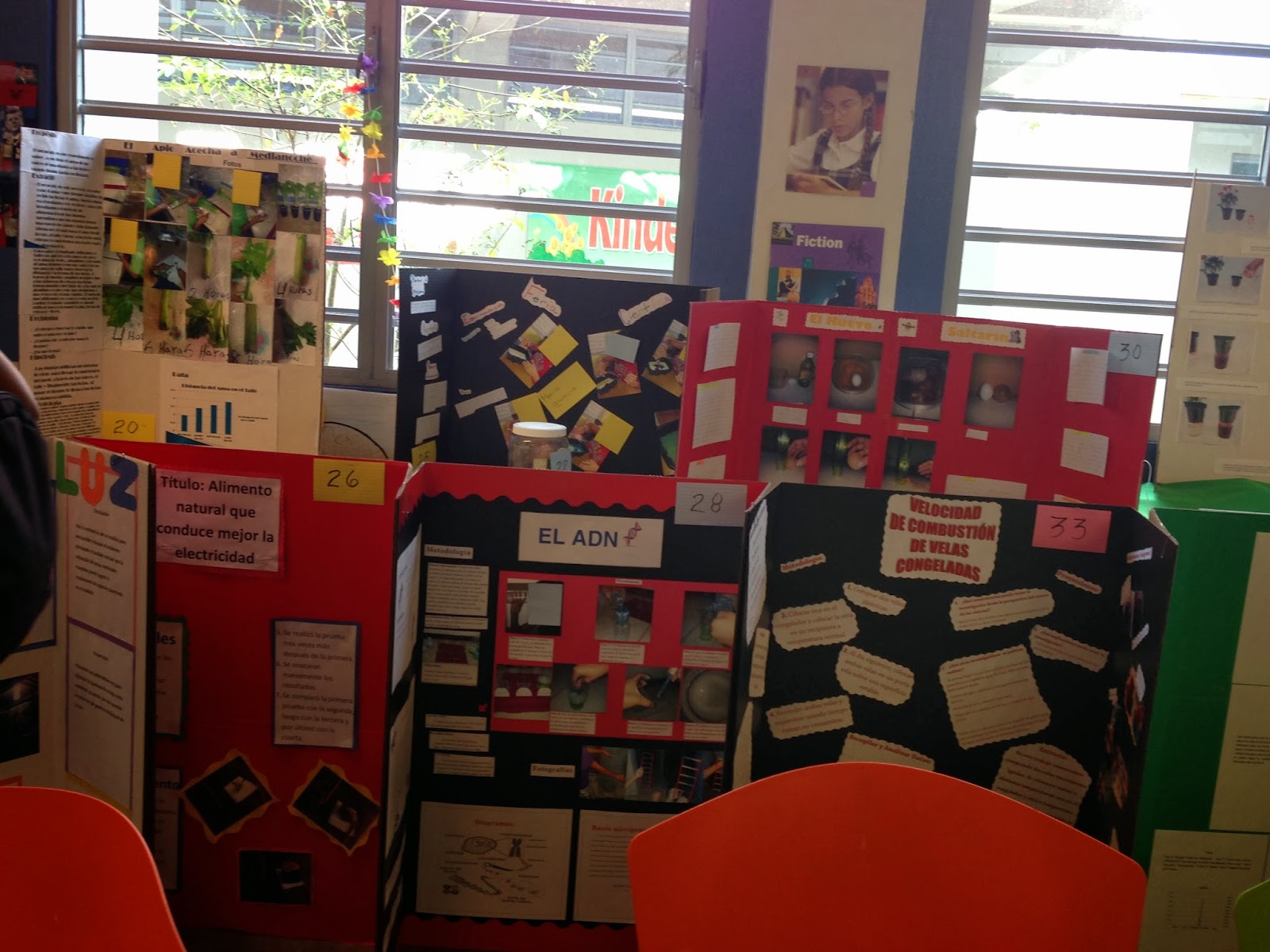 Biblioteca de la Escuela Alfredo Dorrington: Exhibicion de Proyectos de ... Biblioteca de la Escuela Alfredo Dorrington: Exhibicion de Proyectos de ...