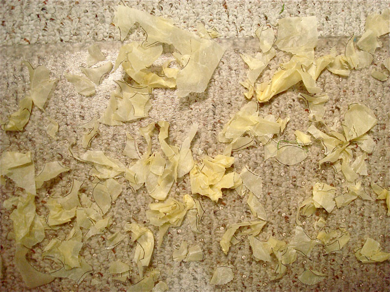 SpringLeaf Studios: It's The Cat's Fault!