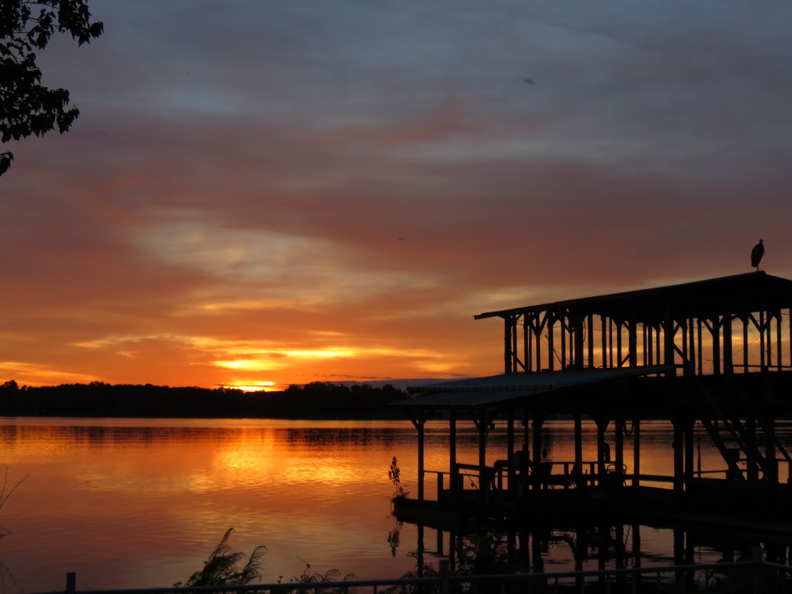Viewing nature with Eileen: Lakeside Sunrise