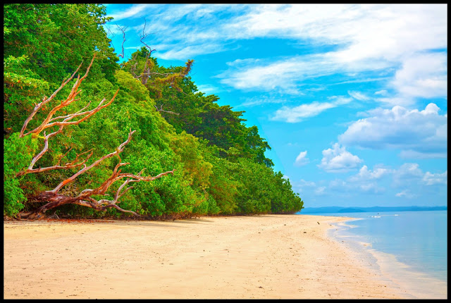 Elephant Beach - Andaman and Nicobar Islands - India | Travel life journeys