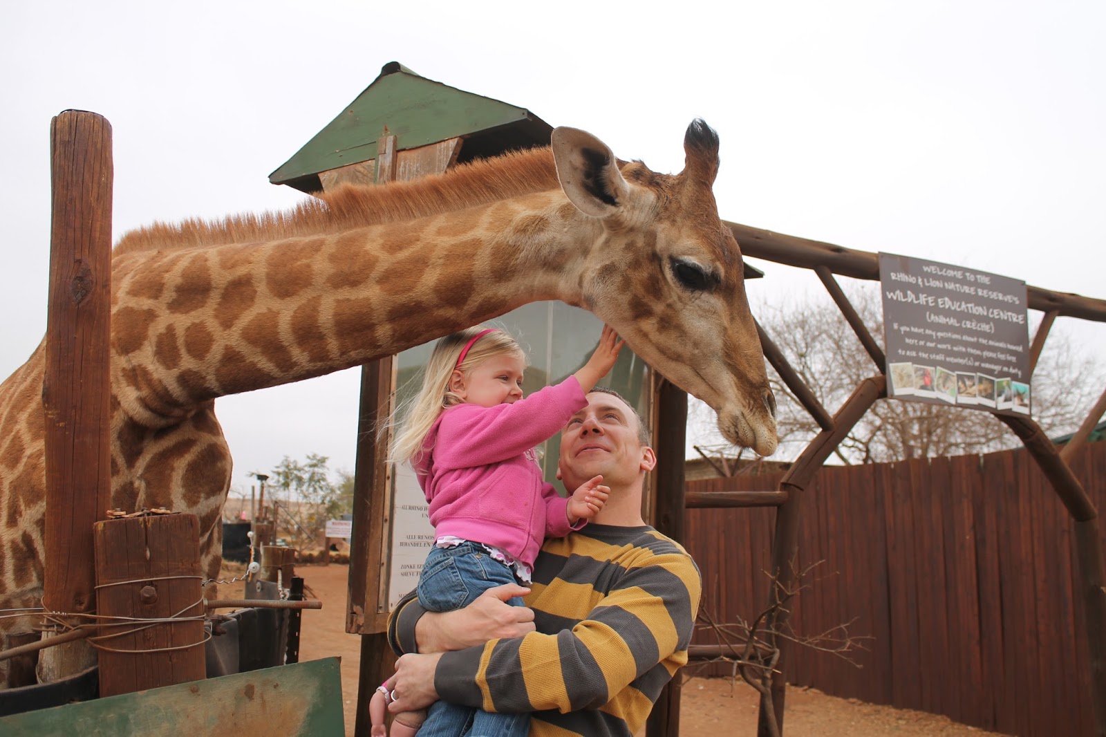 Welcome to the Snyder Life: Animal Interaction