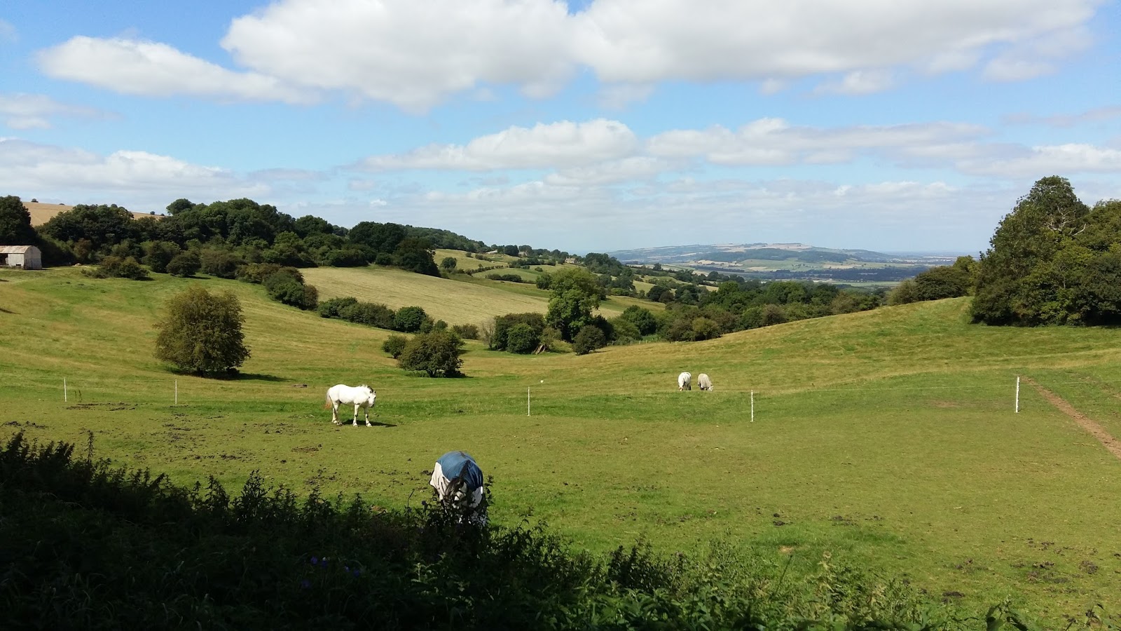 Cotswolds Travel: A Spicy Walk around the Farmcotes